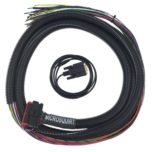 MicroSquirt ECU Version 3.0 – DIYAutoTune