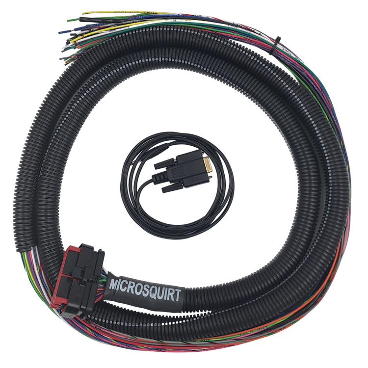 MicroSquirt ECU Version 3.0 – DIYAutoTune