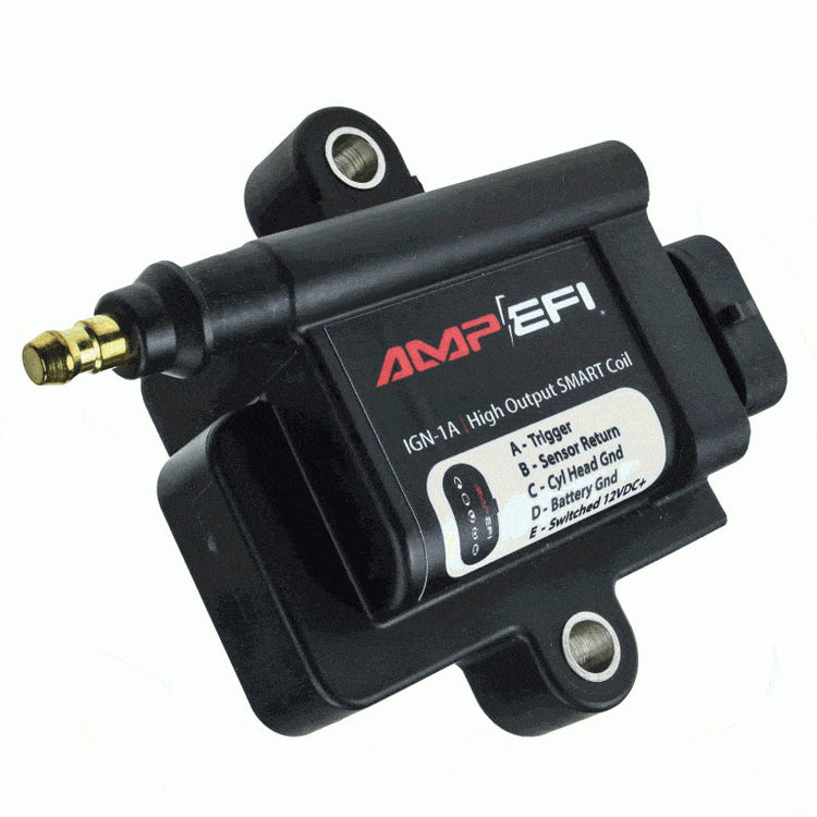 IGN1A Smart Ignition Coil – DIYAutoTune