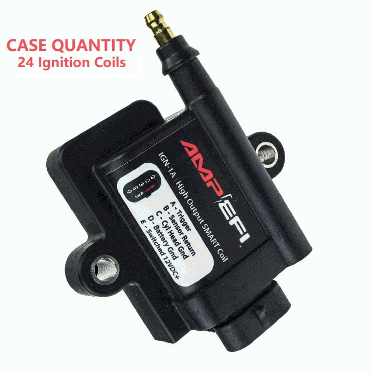 IGN1A Smart Ignition Coil - Case of 24 – DIYAutoTune